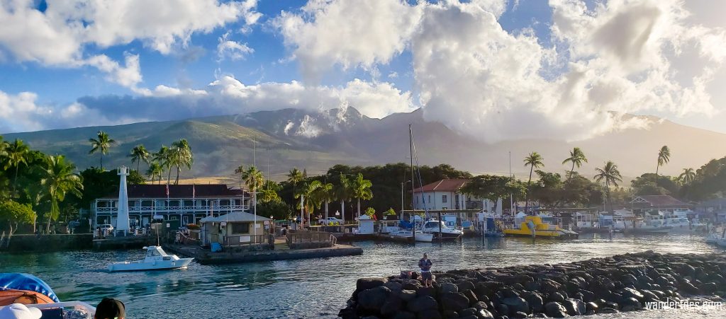 9 Fun Things To Do in Lahaina - Wandertoes